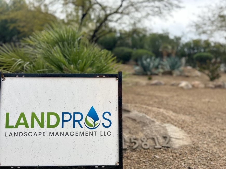 Landpros Landscape Concepts and Designs in Metro Phoenix